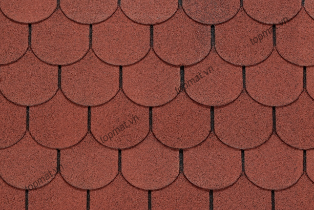 Bitum - Các mẫu tấm lợp bitum được ưa chuộng hiện nay